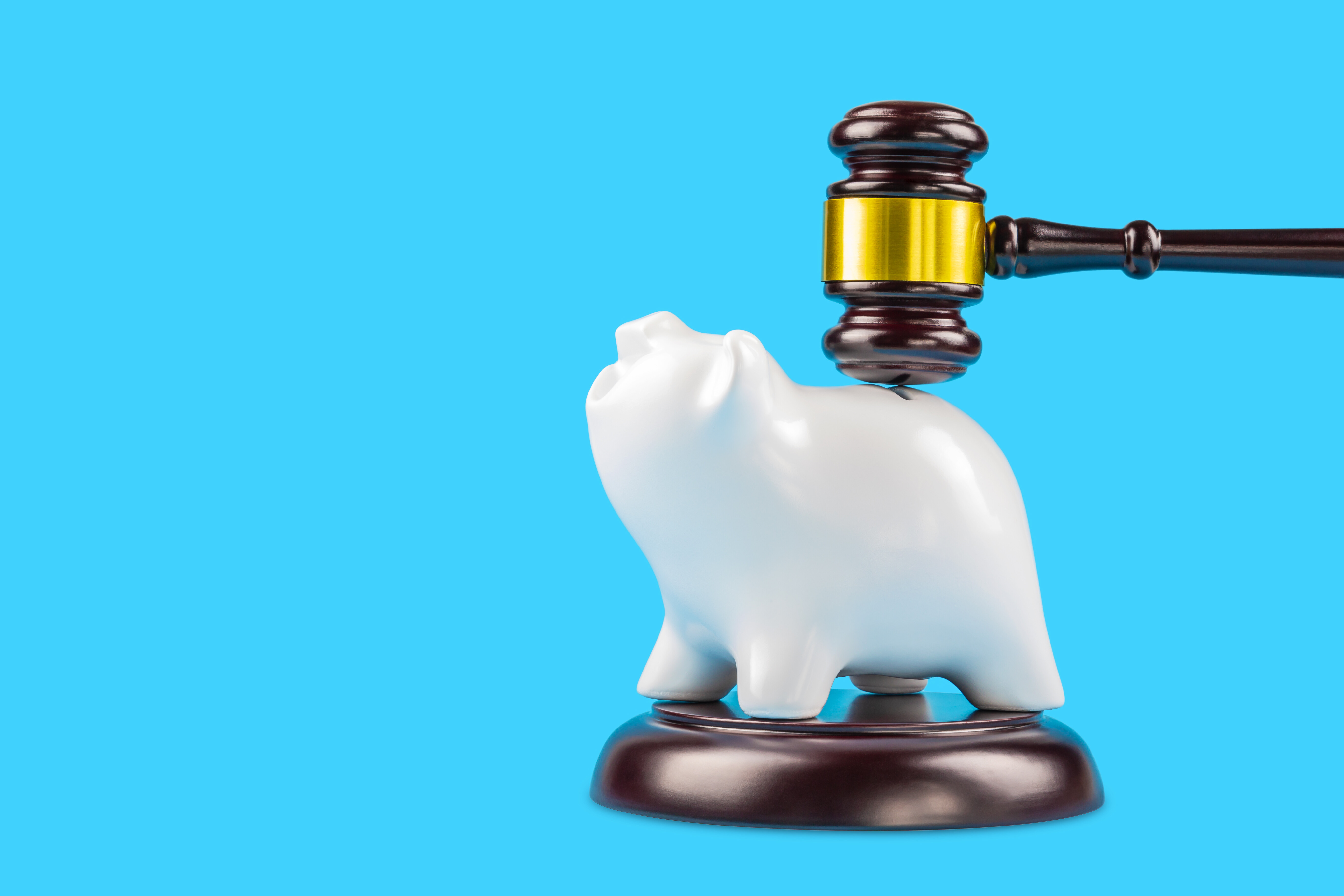 What is An Amicus Attorney and What Do They Do in Texas Custody Cases?